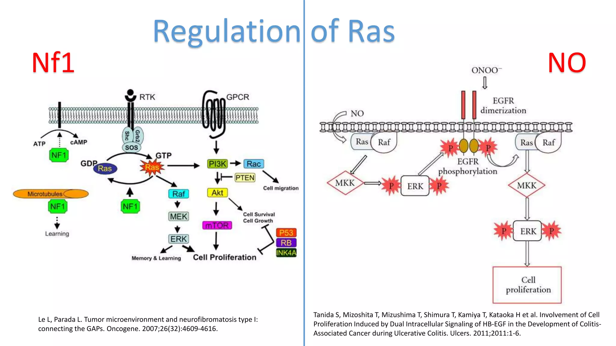 Ras presentation complete | PPTX