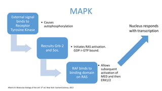 Ras presentation complete | PPTX