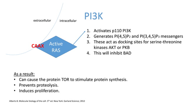 Ras presentation complete | PPTX