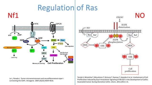 Ras presentation complete | PPTX