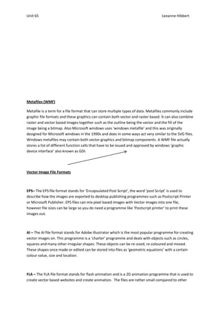 Raster and vector | DOCX