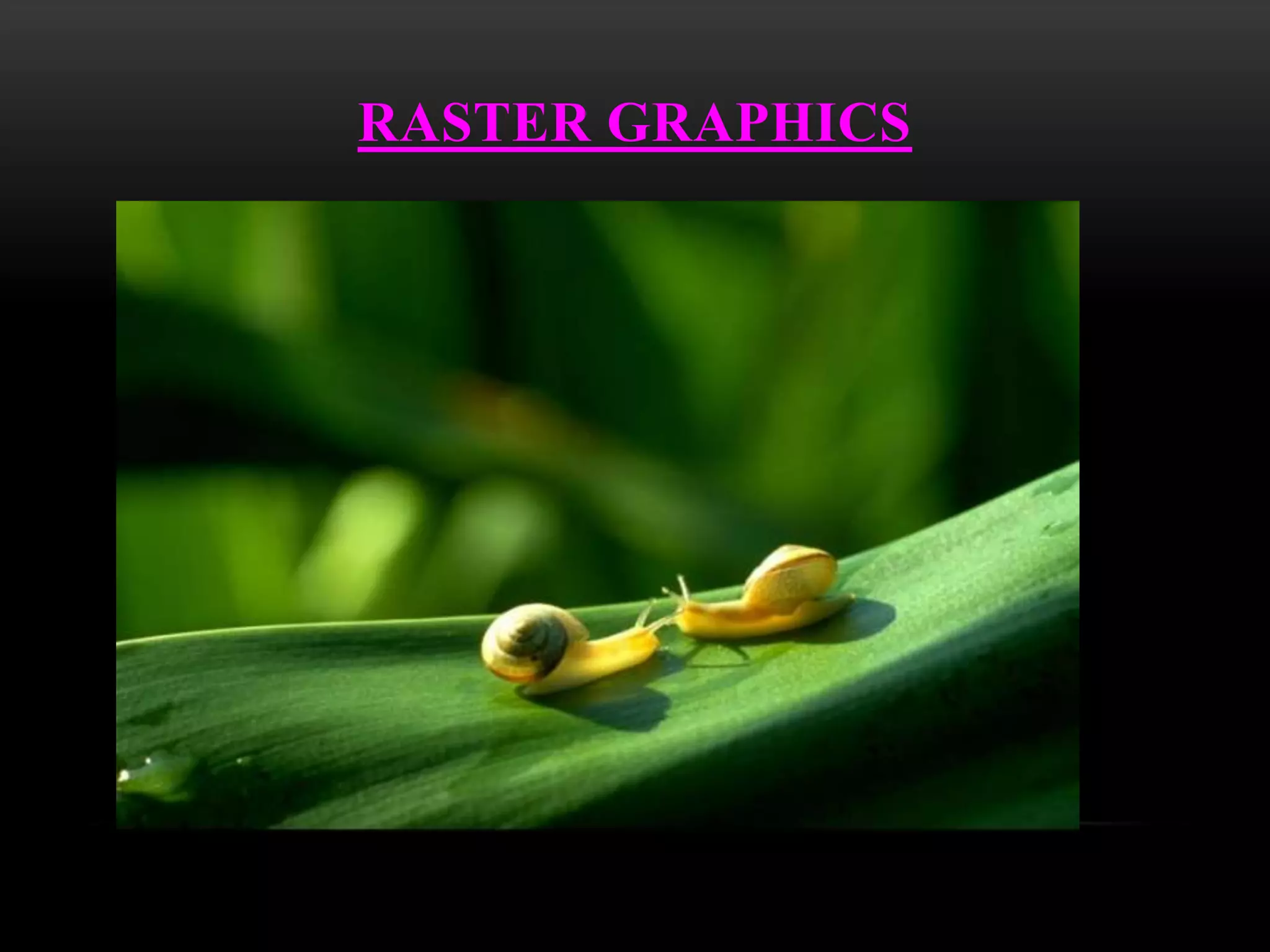 Raster data model | PPT