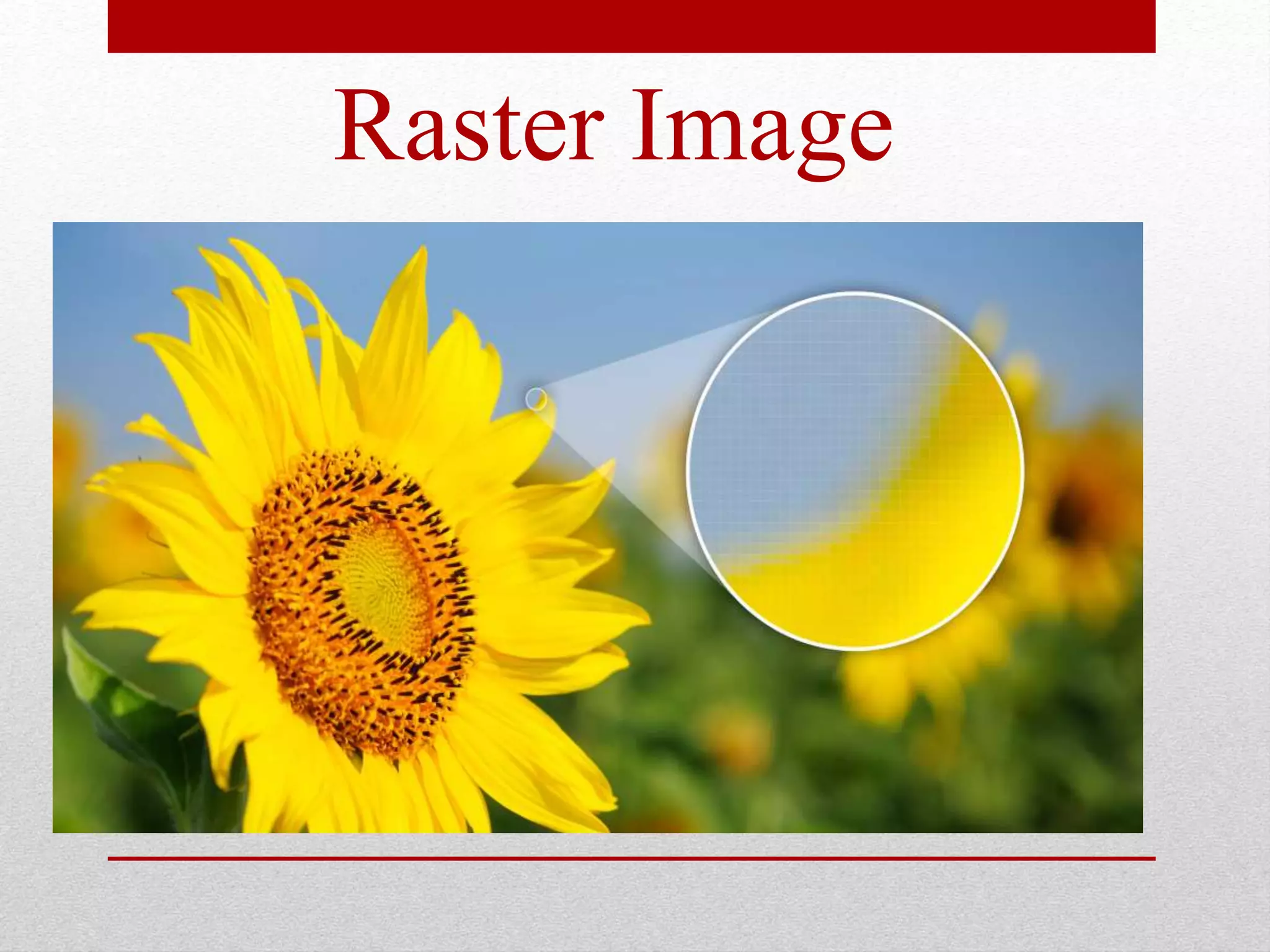 Raster scan displays ppt | PPTX
