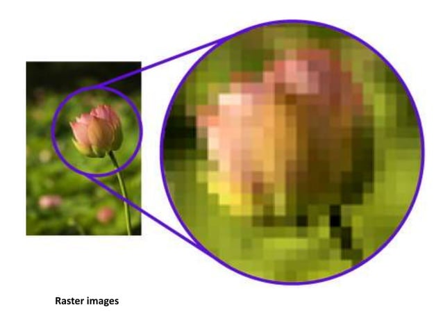 Raster vs vector | PPT