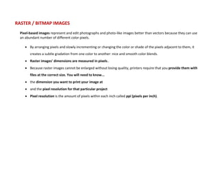 Raster vs vector | PDF