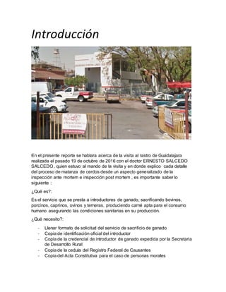 DINAMICA EN UN RASTRO GANADERO | DOCX