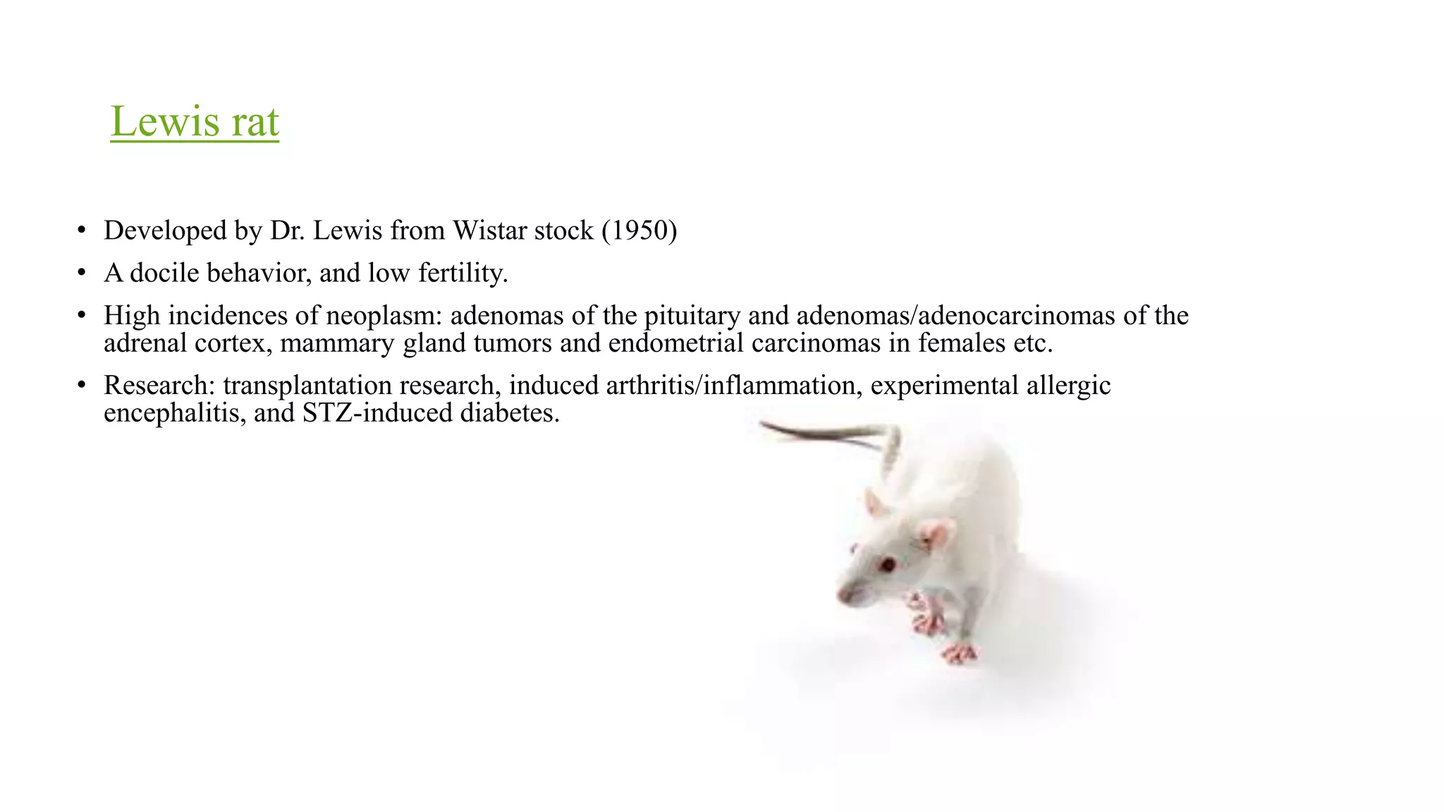 laboratory animal: Rat | PPTX