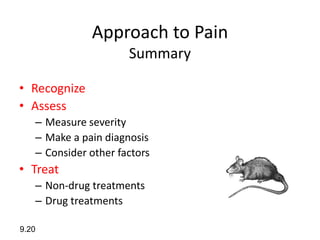 RAT approach essential pain management.pptx