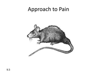RAT approach essential pain management.pptx