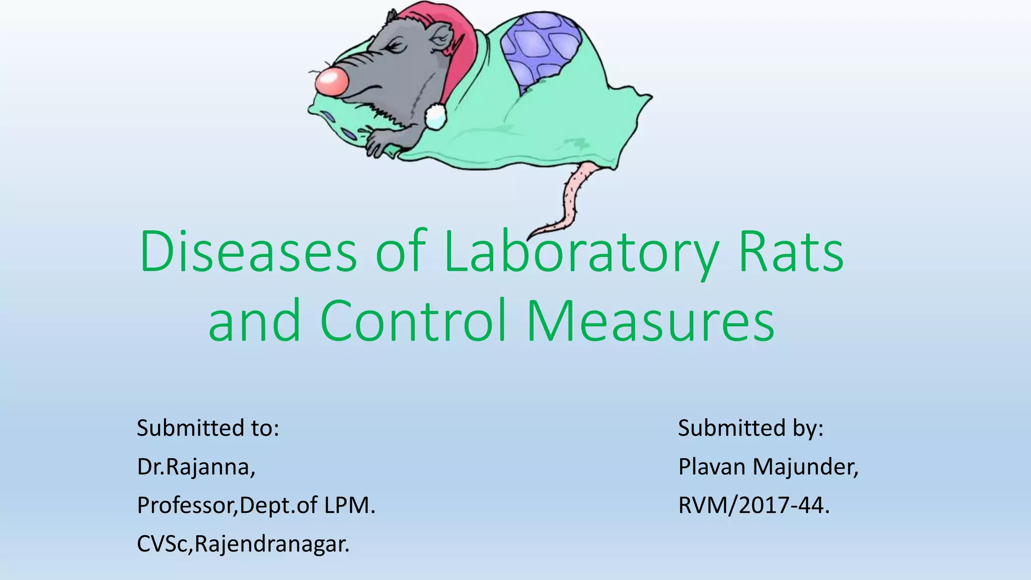 laboratory Rat diseases &control measures | PPTX | Lung and Respiratory ...