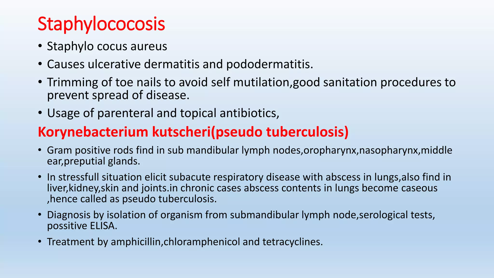 laboratory Rat diseases &control measures | PPTX