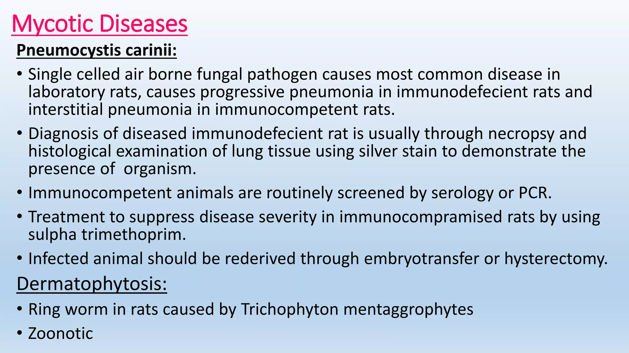 laboratory Rat diseases &control measures | PPTX