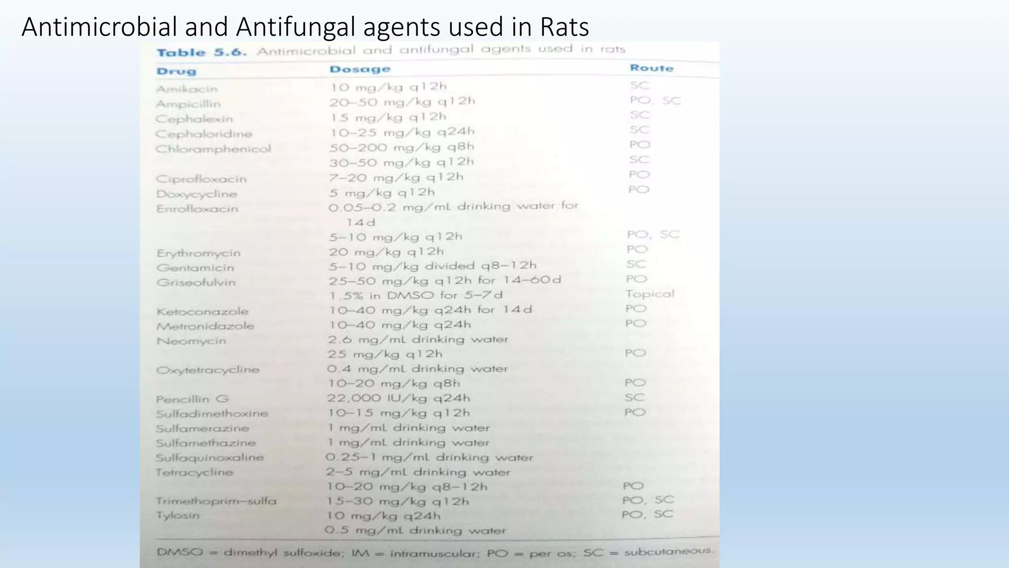 laboratory Rat diseases &control measures | PPTX