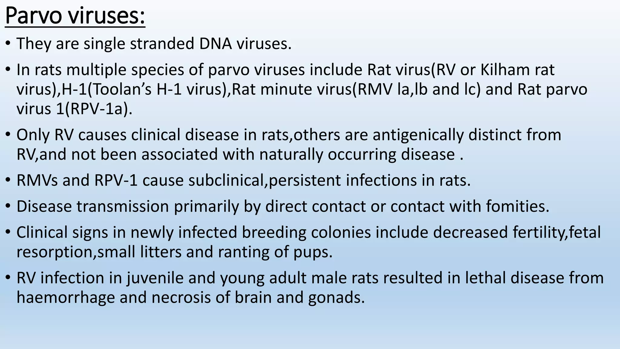 laboratory Rat diseases &control measures | PPTX