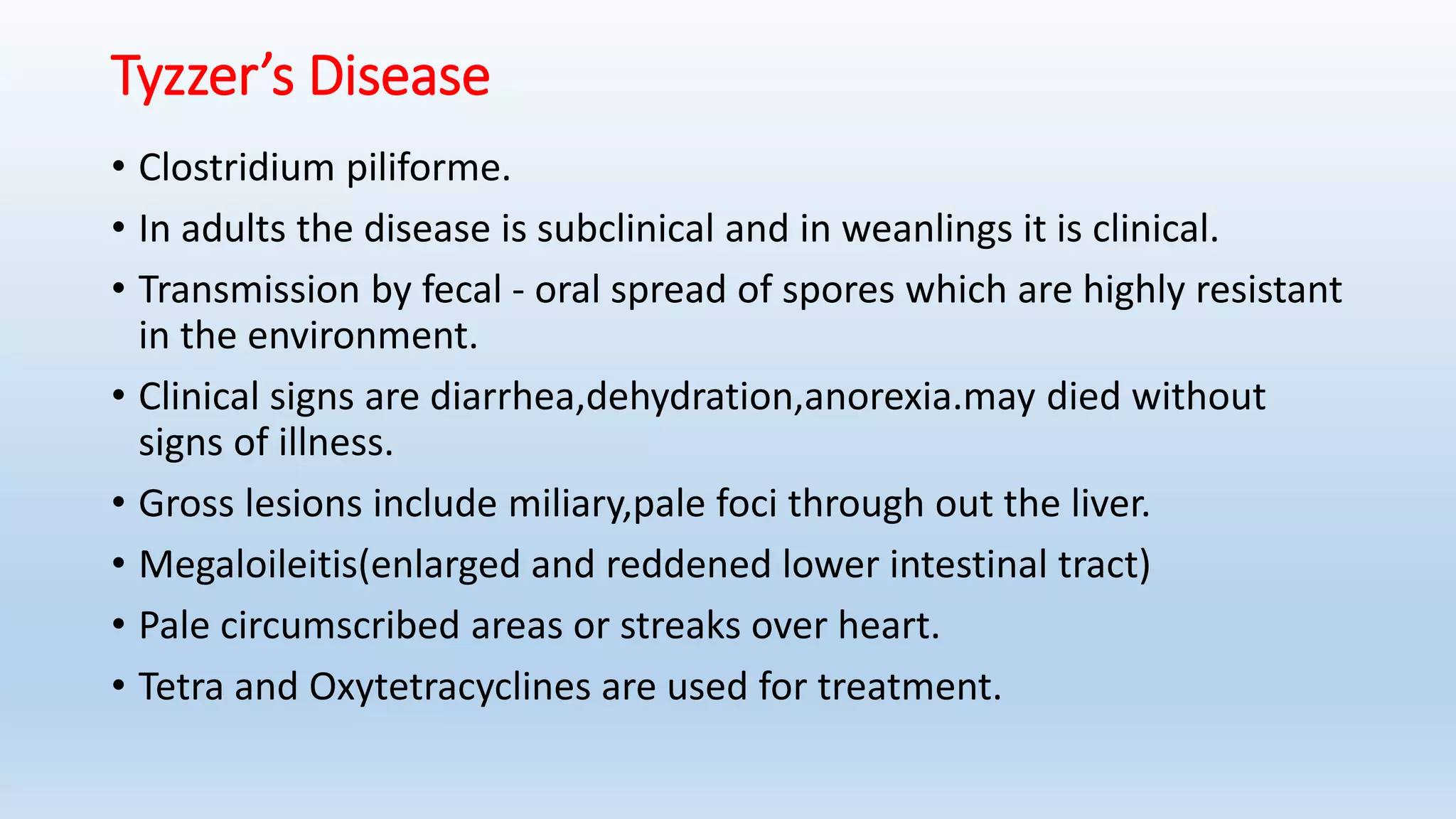 laboratory Rat diseases &control measures | PPTX