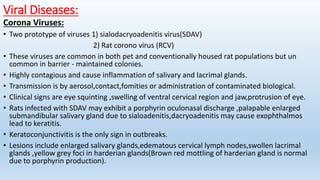 laboratory Rat diseases &control measures | PPTX | Lung and Respiratory ...