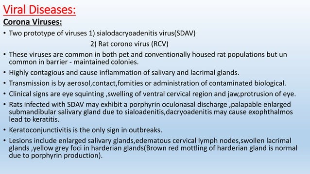 laboratory Rat diseases &control measures | PPTX | Lung and Respiratory ...
