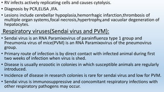 laboratory Rat diseases &control measures | PPTX | Lung and Respiratory ...