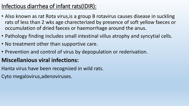 laboratory Rat diseases &control measures | PPTX | Lung and Respiratory ...