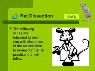 RatDissectionppt new curriculum project.ppt