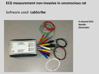 Recording of Rat ECG, BP and heart rate | PPTX
