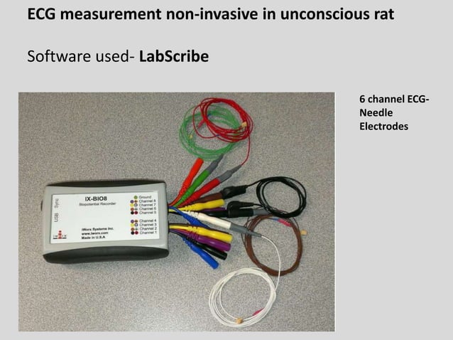 Recording of Rat ECG, BP and heart rate | PPTX | Heart and ...