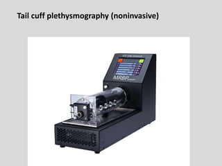 Recording of Rat ECG, BP and heart rate | PPTX