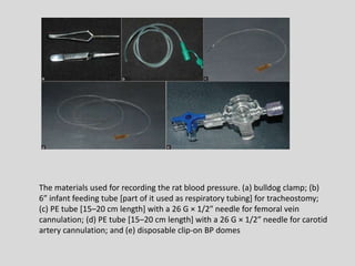 Recording of Rat ECG, BP and heart rate | PPTX
