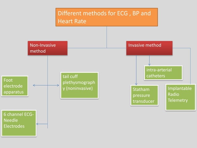 Recording of Rat ECG, BP and heart rate | PPTX | Heart and ...