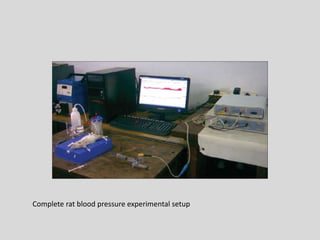 Recording of Rat ECG, BP and heart rate | PPTX