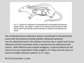 Recording of Rat ECG, BP and heart rate | PPTX