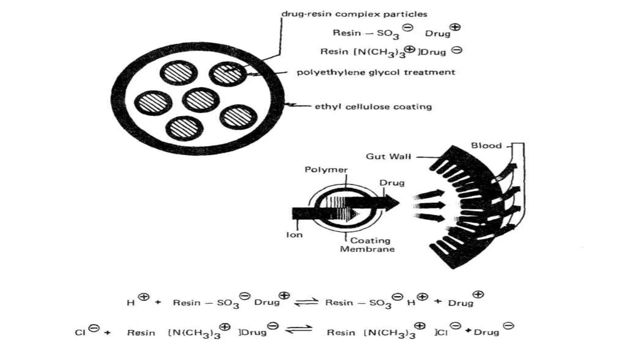 activation modulated drug delivery system drug delivery system | PPTX