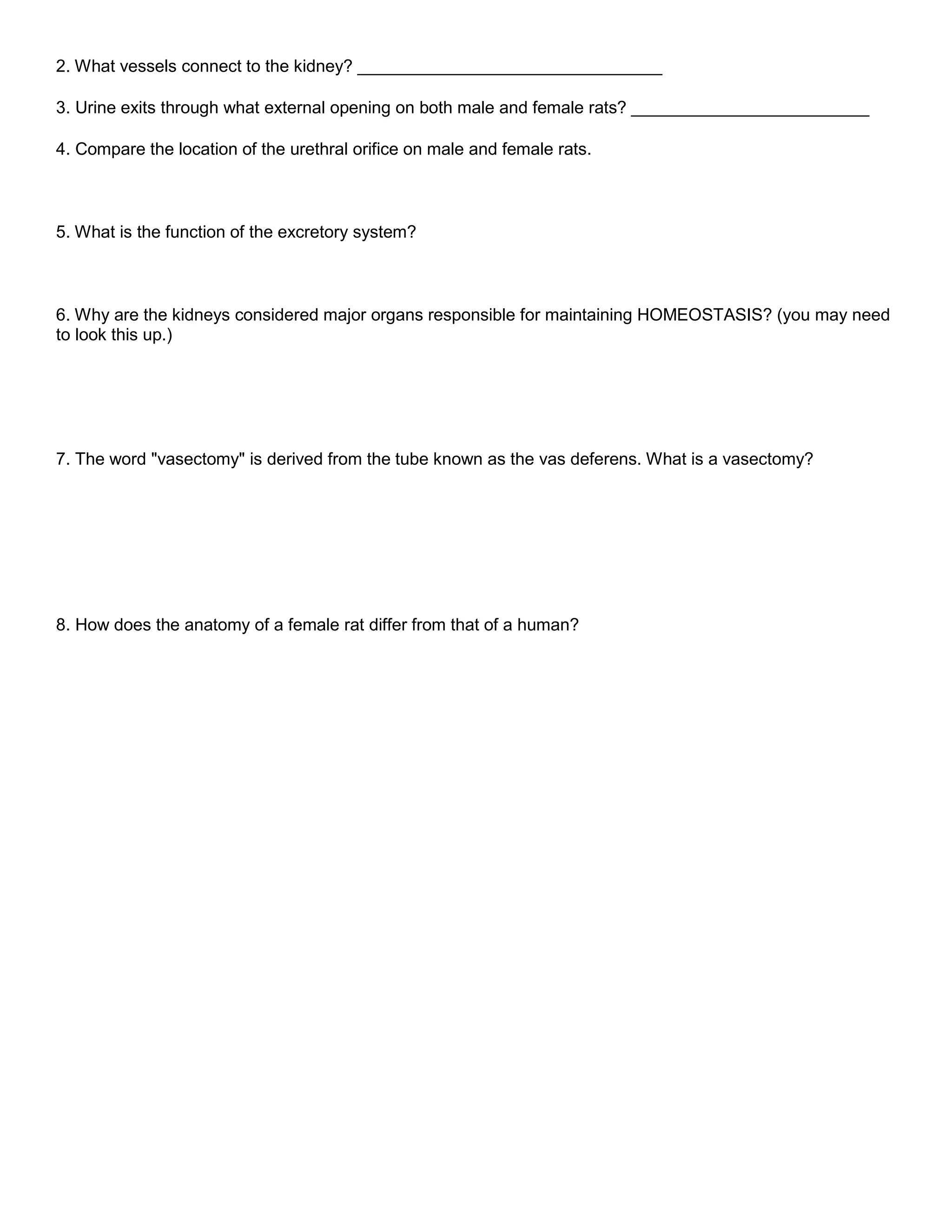 rat_entire_dissection.doc.docx