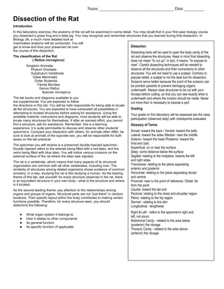 rat_entire_dissection.doc.docx