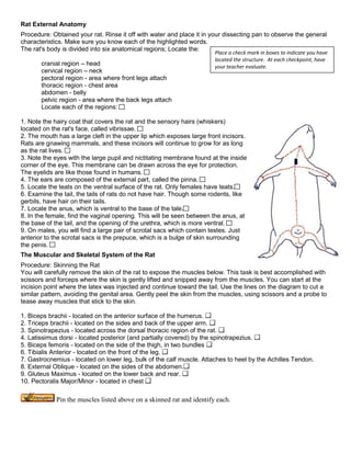 rat_entire_dissection.doc.docx