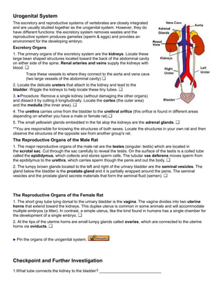 rat_entire_dissection.doc.docx