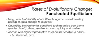 Rates of evolutionary change and extinctions | PPT
