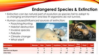 Rates of evolutionary change and extinctions | PPT