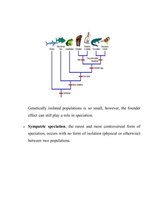 Rates and trends of evolution | DOCX