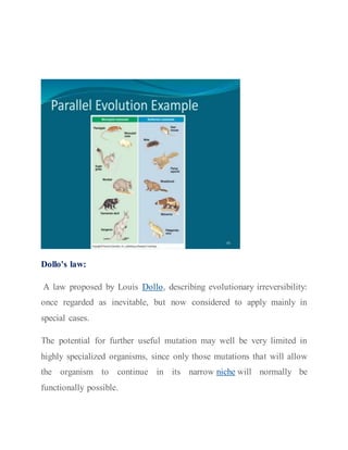 Rates and trends of evolution | DOCX