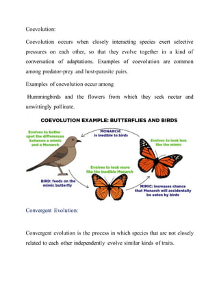 Coevolution Examples Predator And Prey