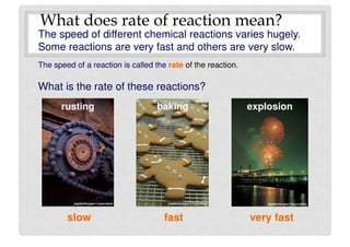 Rates Of Reactions | PDF