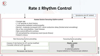 Rate vs rhythm control, what is new in esc 2020 | PPT