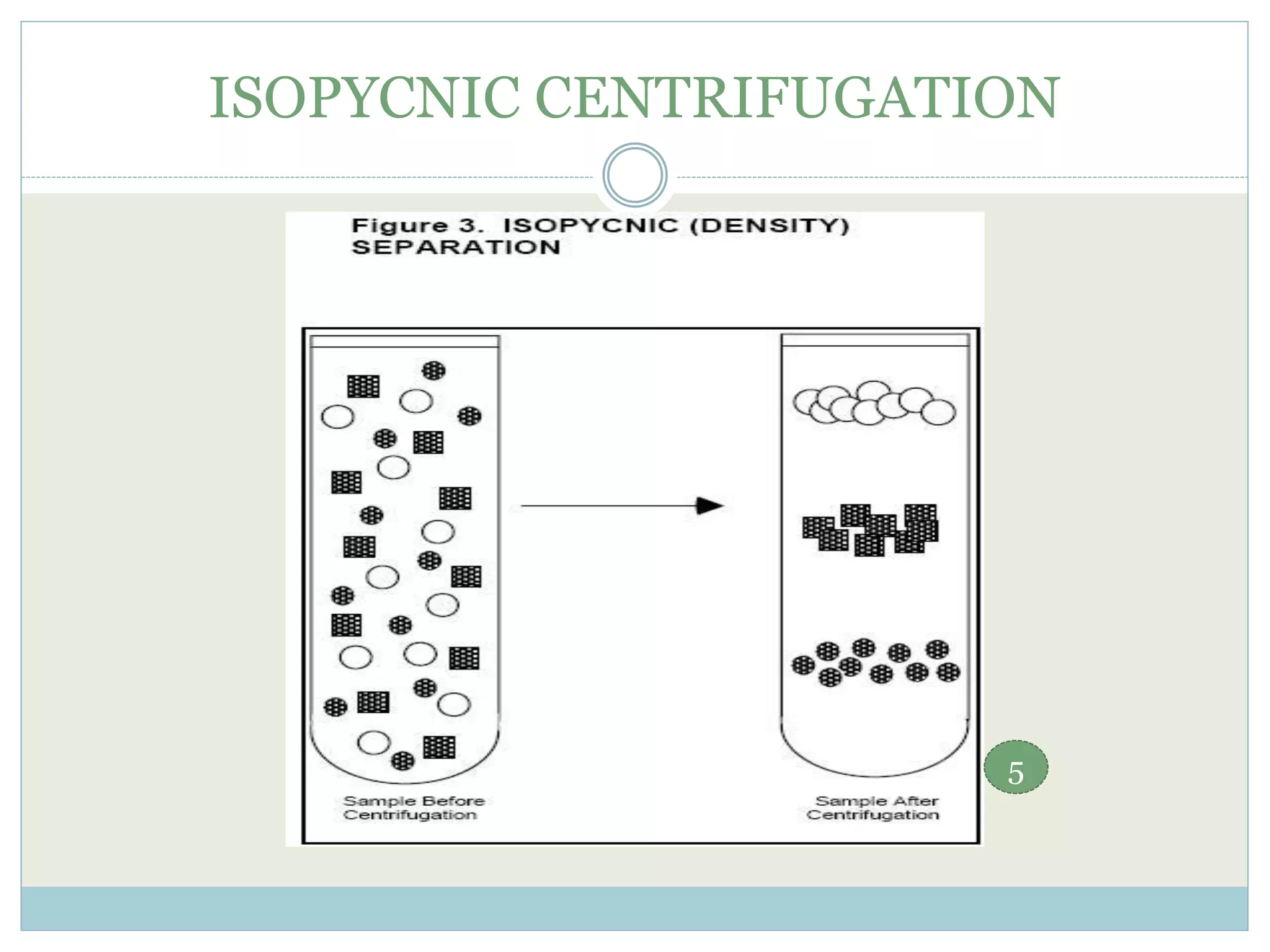 Rate zonal centrifugation and Its applications | PPTX