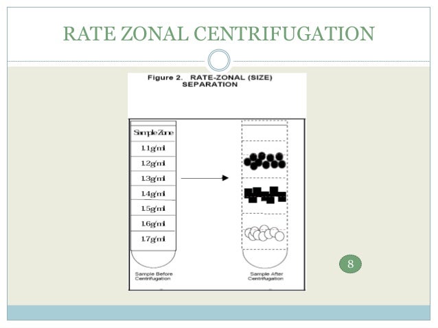 Rate zonal centrifugation and Its applications