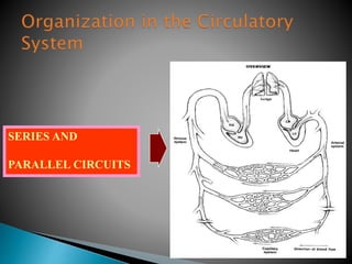 Descripition of heart and purkinje fibres | PPTX