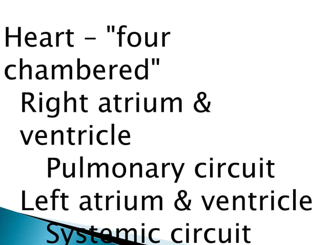 Descripition of heart and purkinje fibres | PPTX | Heart and ...