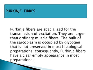 Descripition of heart | PPTX