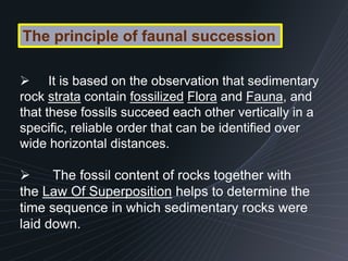 Principle Of Faunal Succession