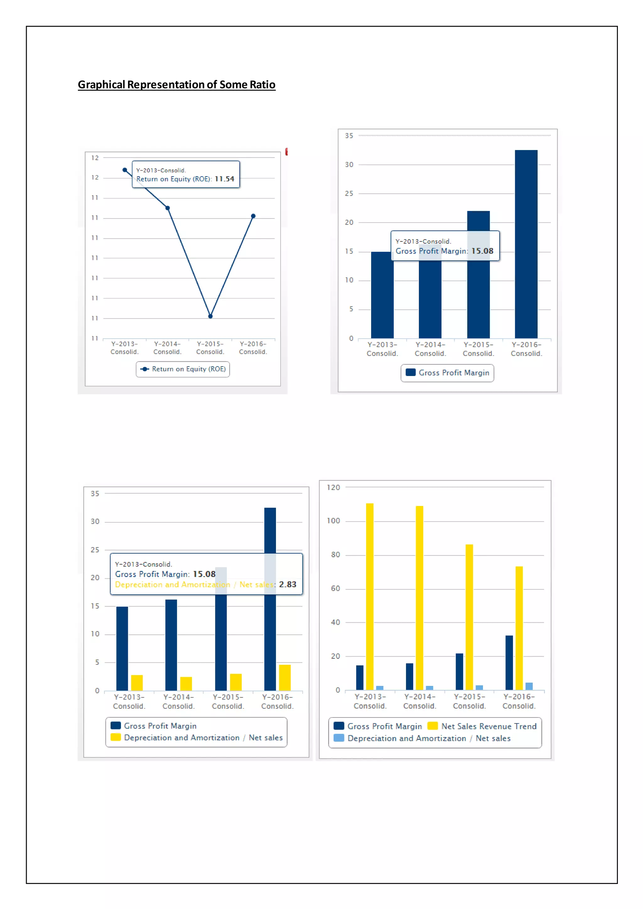 Ratio analysis case study | DOCX